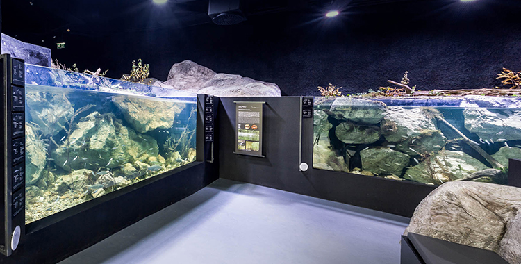 Otvorena Aquatika - Magazin za turizam i gastronomiju